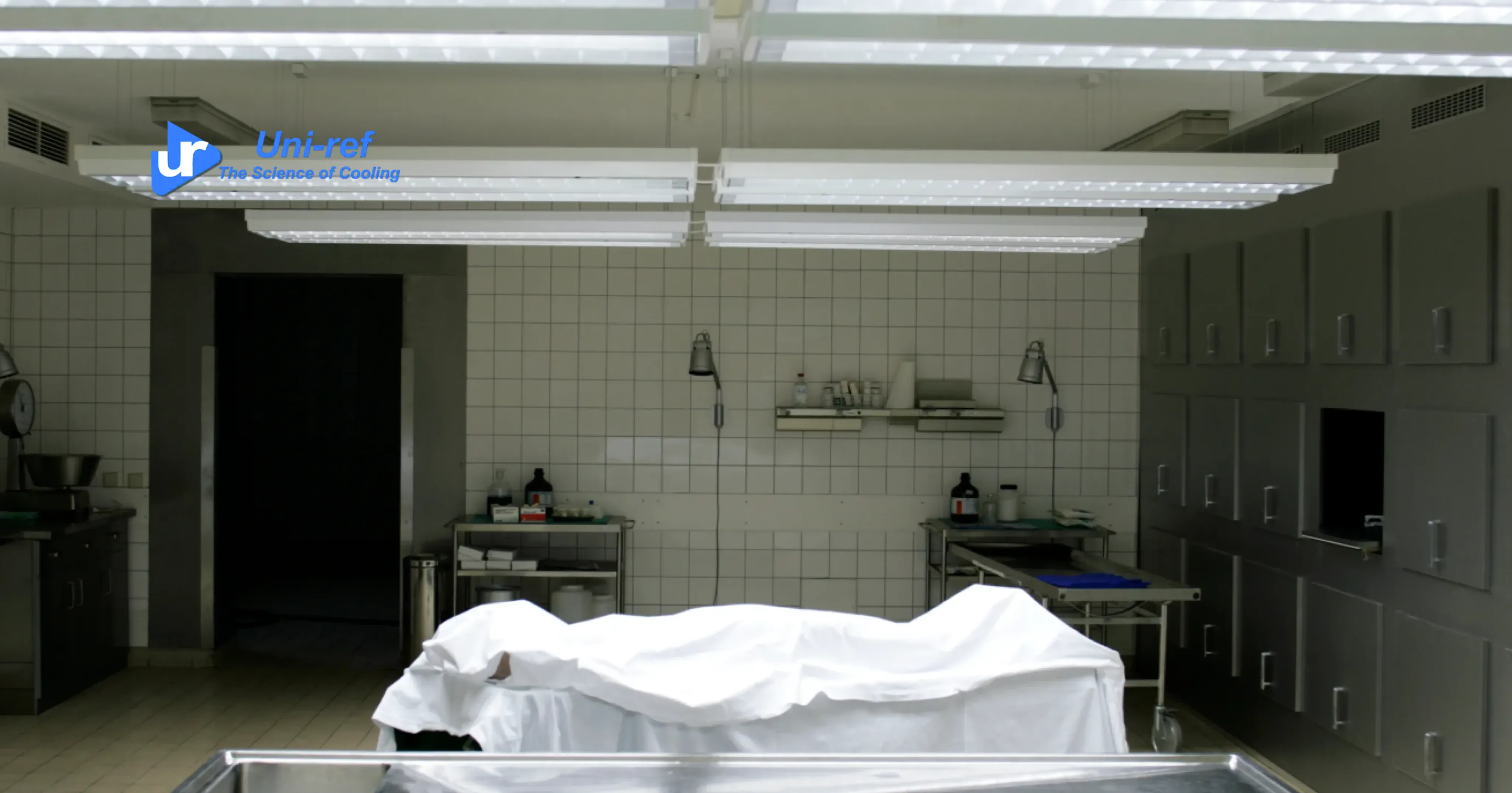 Advanced Mortuary Refrigeration Solutions | Reliable Mortuary Chambers ...